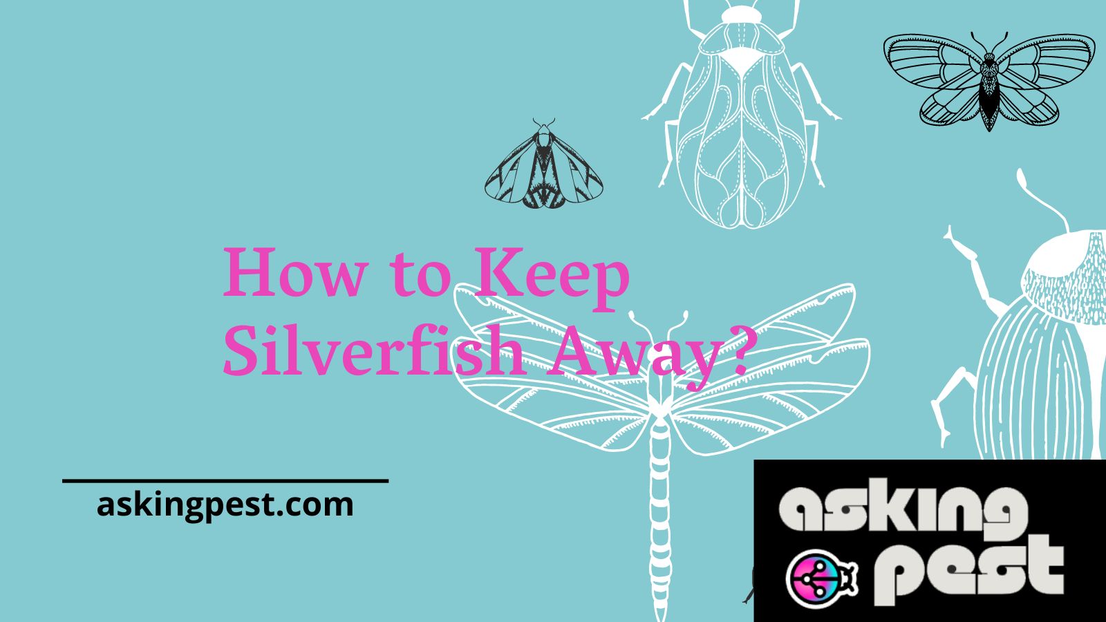 How to Keep Silverfish Away? The Ultimate Guide to Pest Prevention ...