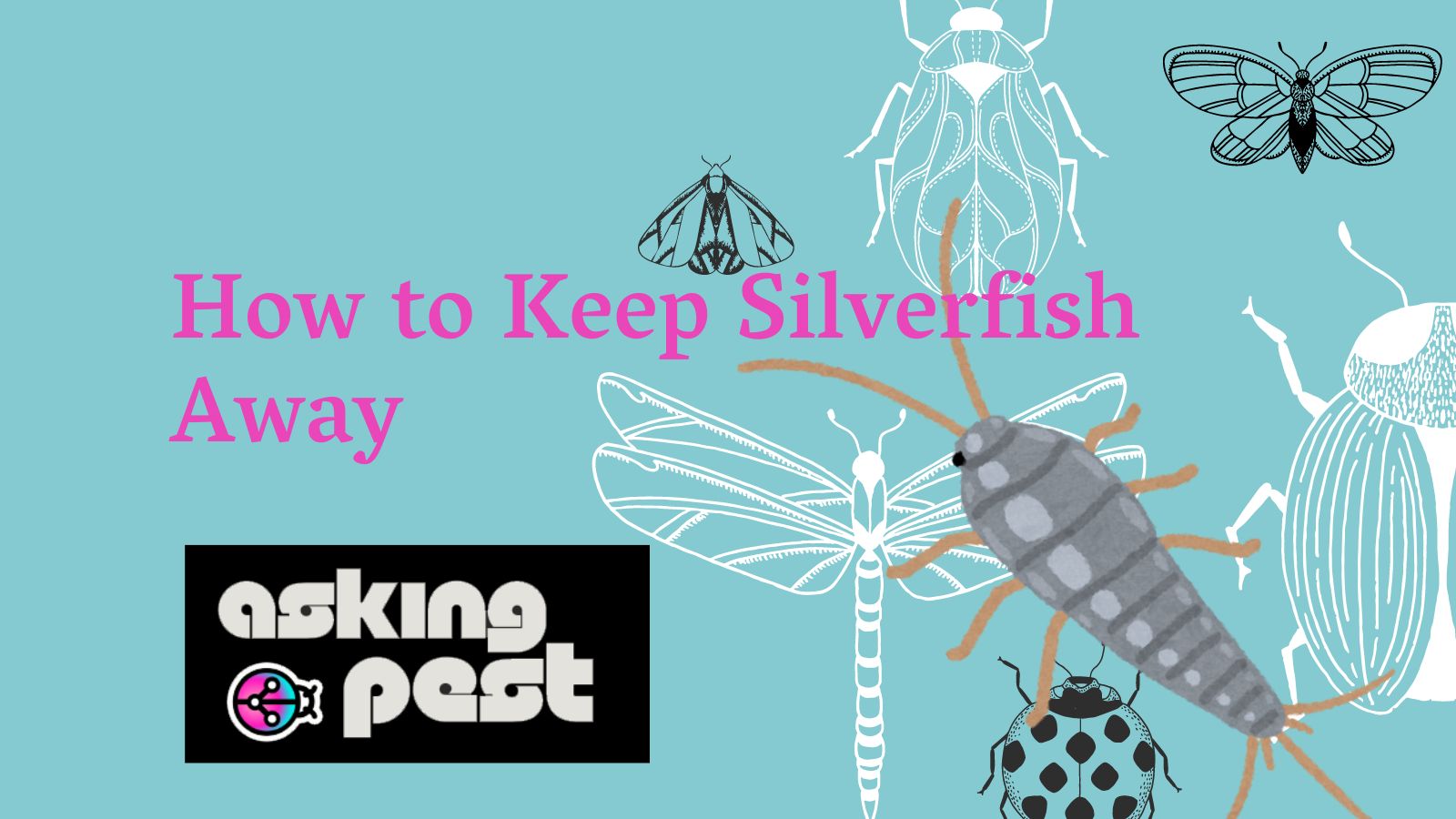 How to Keep Silverfish Away: Guide to Pest Prevention - Eco Pest Clear
