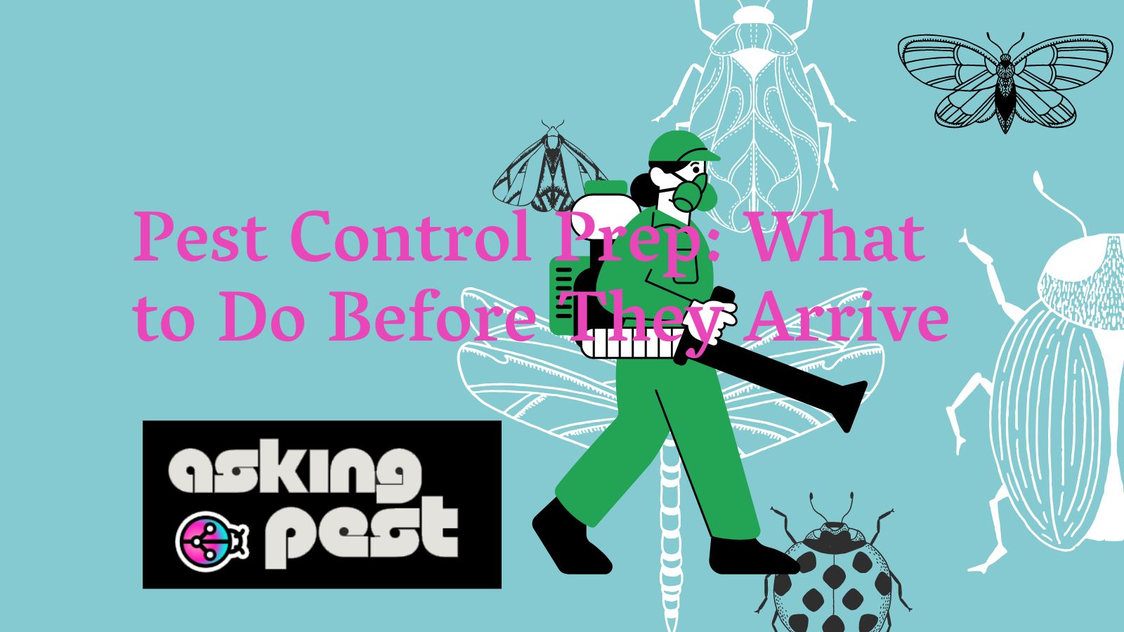 Pest Control Prep: What to Do Before They Arrive - Eco Pest Clear
