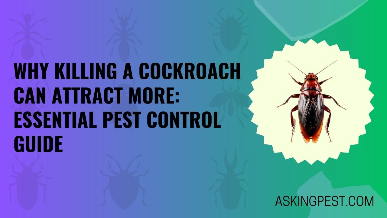 Why Killing a Cockroach Can Attract More? Essential Pest Control Guide ...